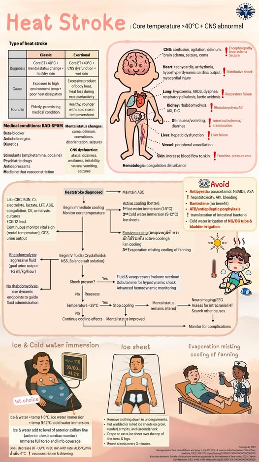 Emergency medicine review | ศูนย์กู้ชีพ"นเรนทร" โรงพยาบาลราชวิถี